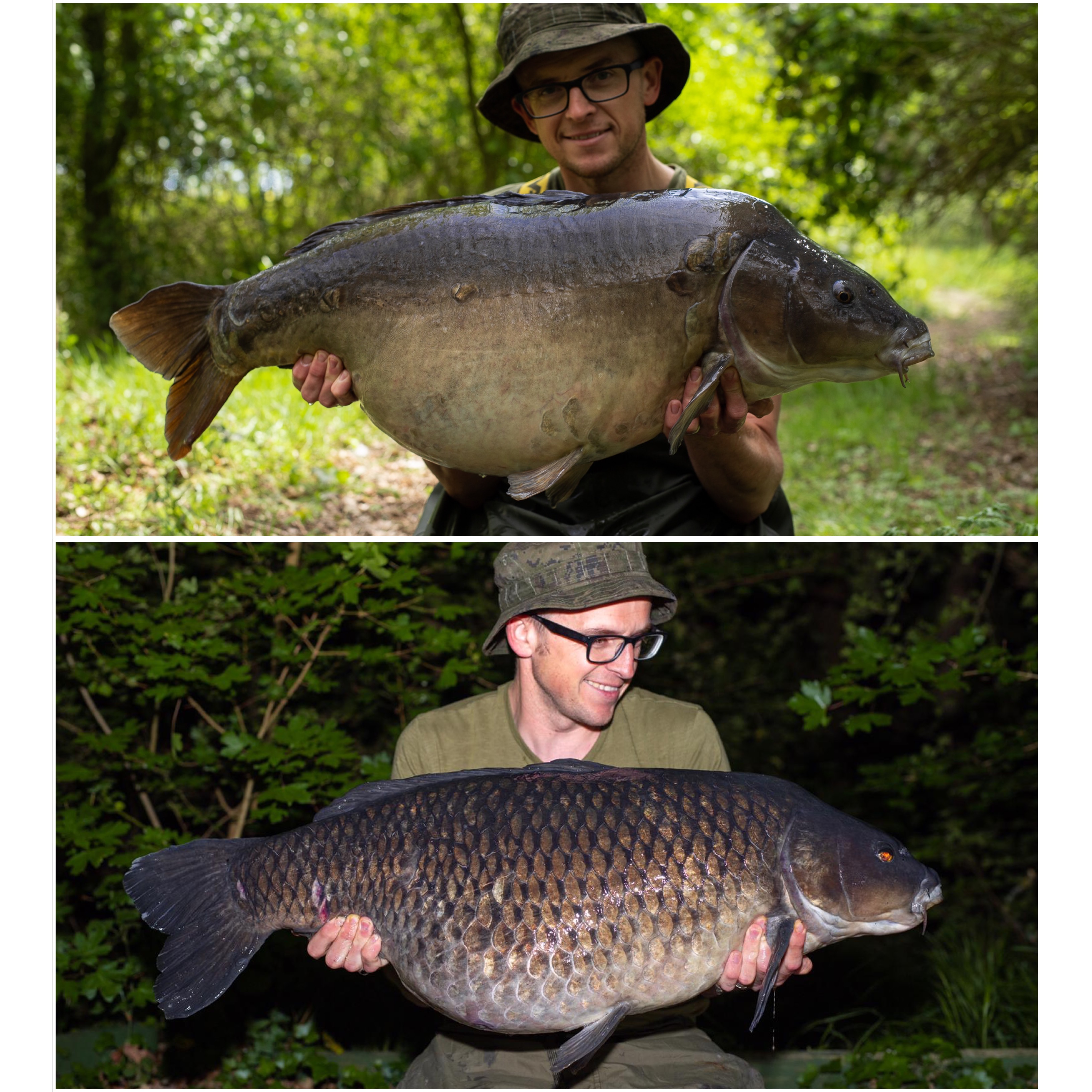 How To Set Up A Adjustable Zig Rig | Korda