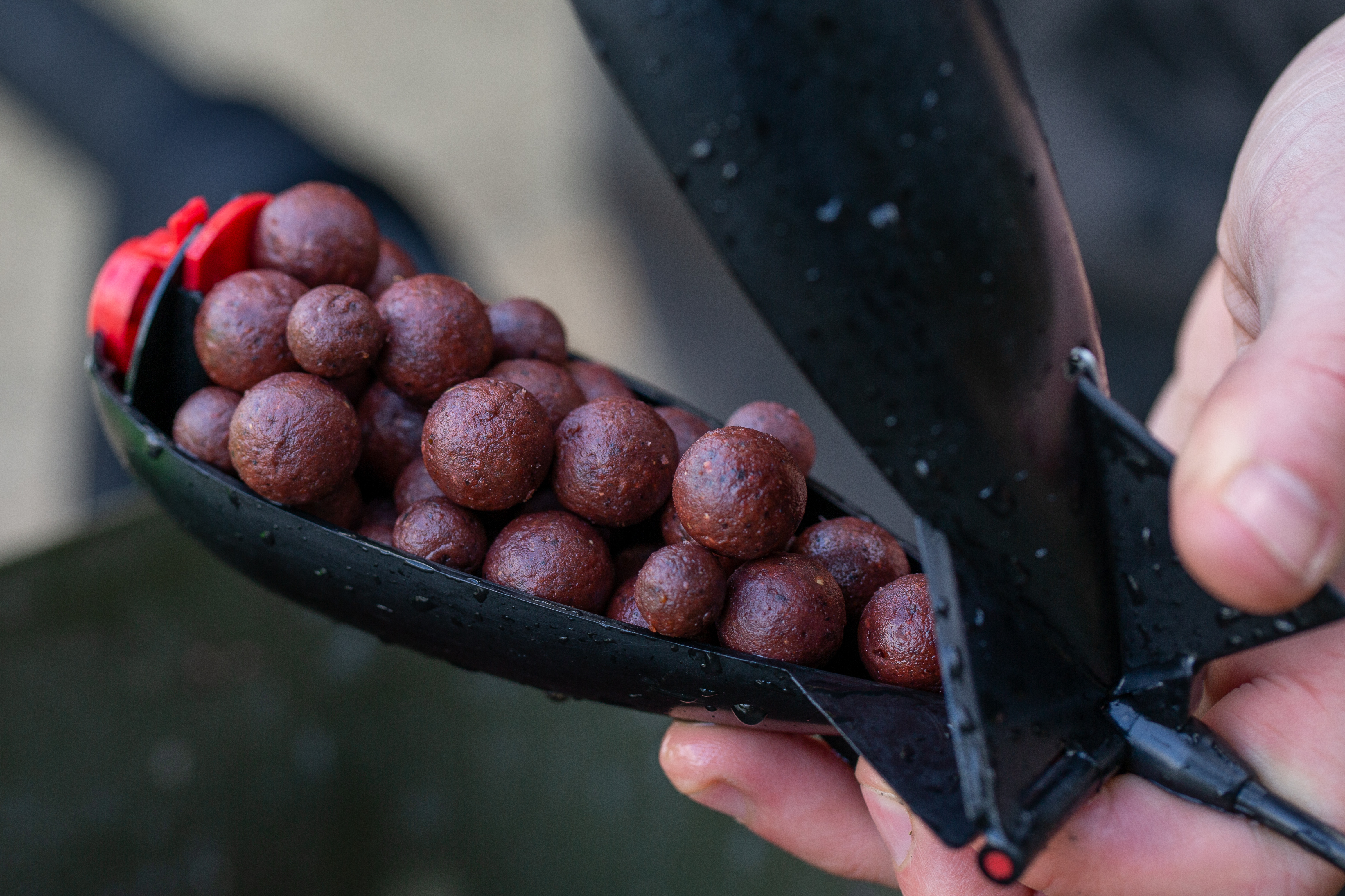 How to spod for carp and what tackle do you need | Korda
