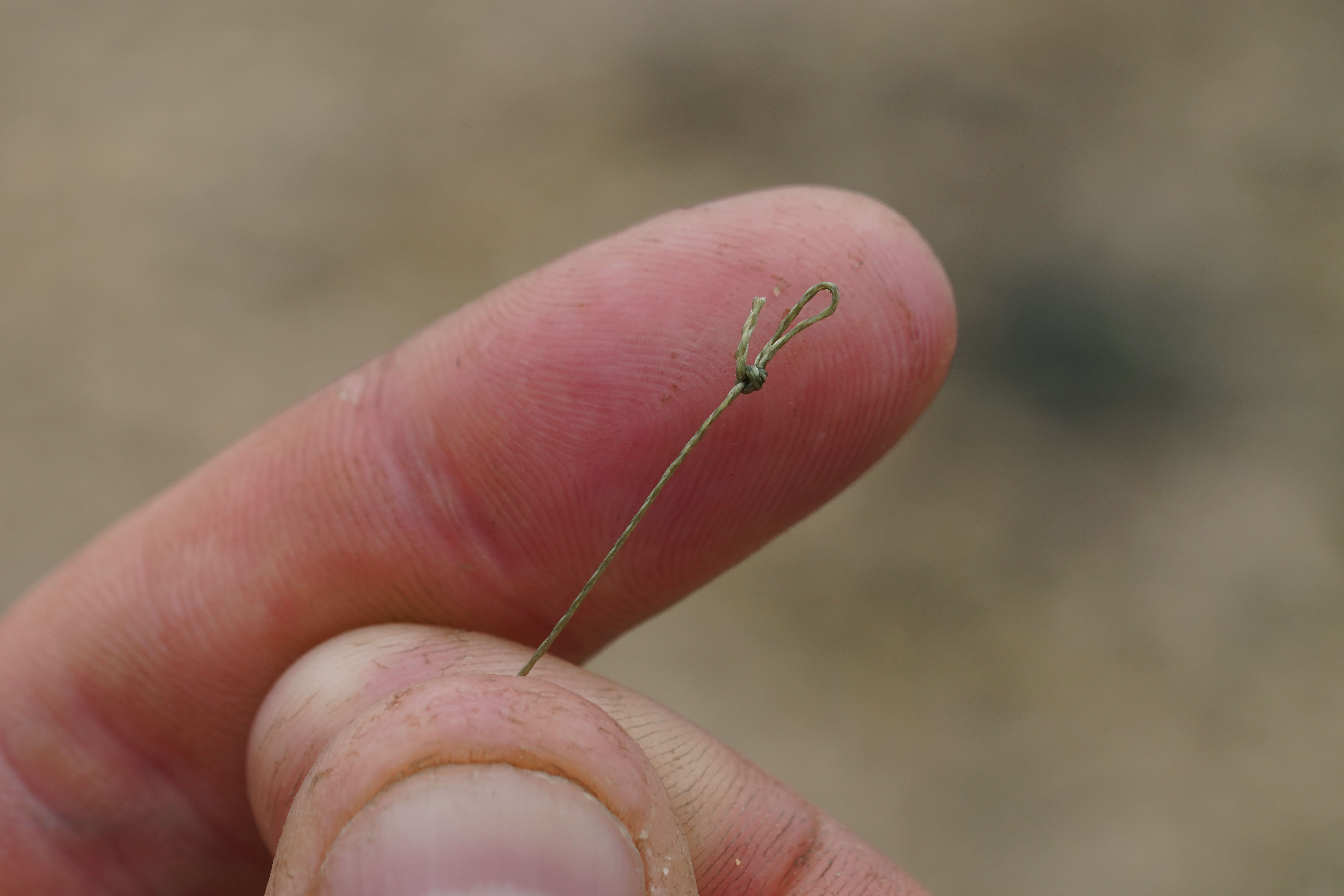How To Tie The KD Rig | Korda