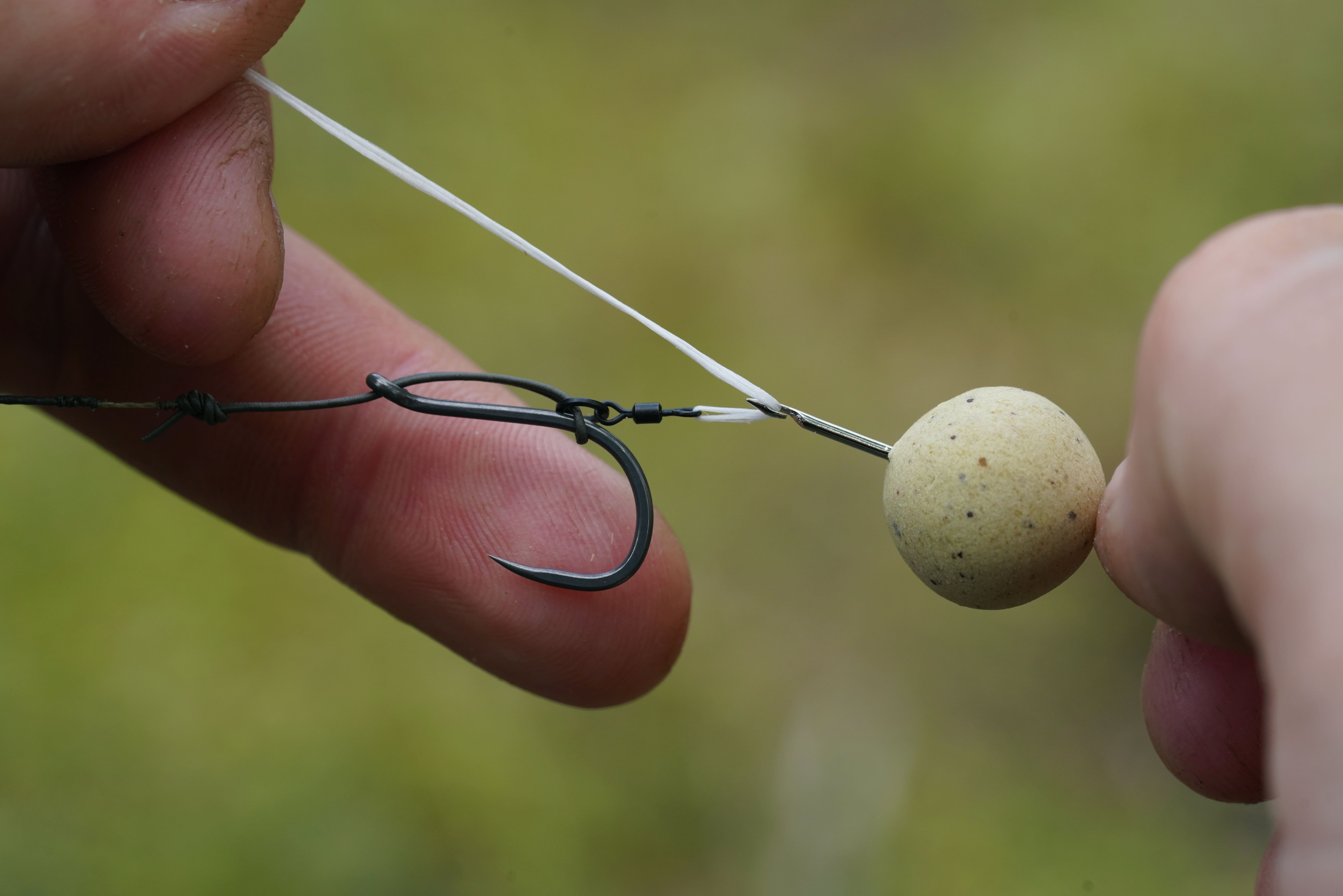 How To Tie The Multi Rig | Korda