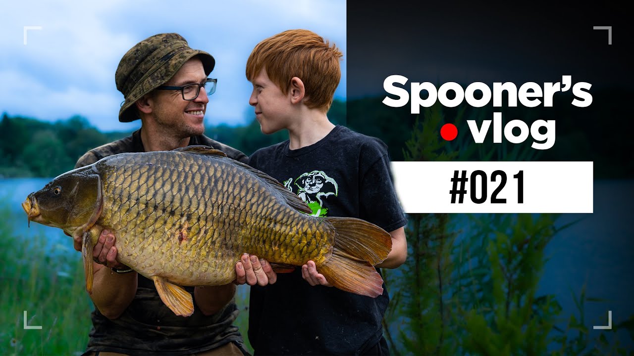 Videos | Korda